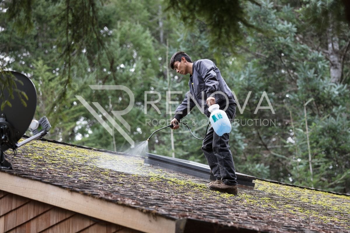 What Causes Mold On Roof Shingles And How To Remove It