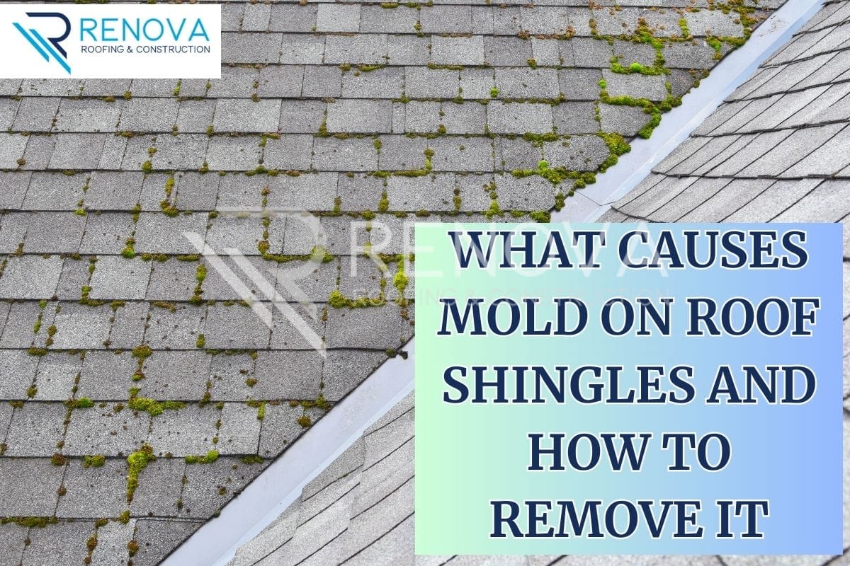 What Causes Mold On Roof Shingles And How To Remove It