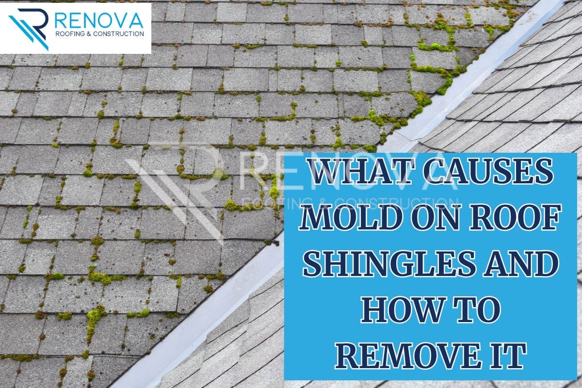 What Causes Mold On Roof Shingles And How To Remove It
