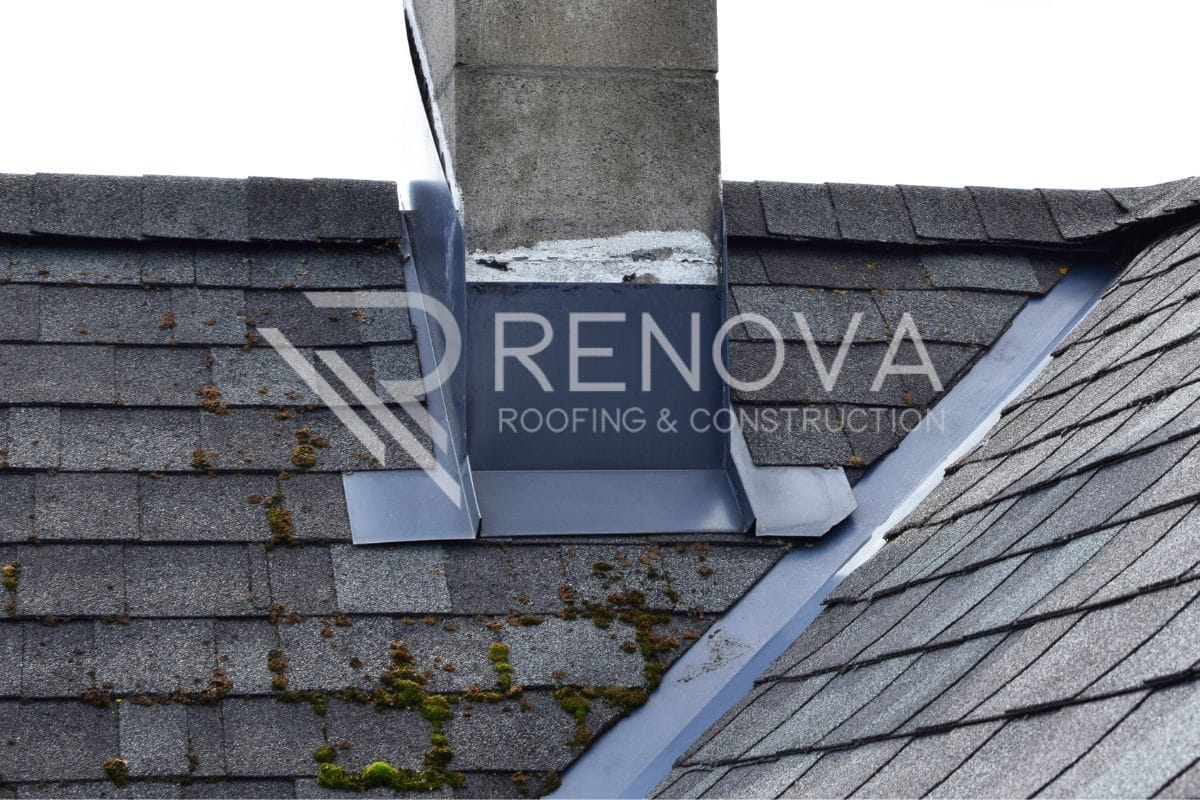 What Causes Mold On Roof Shingles And How To Remove It