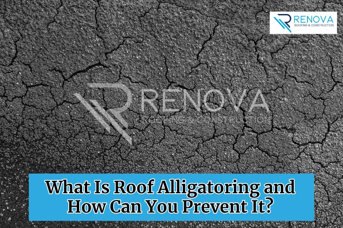 What Is Roof Alligatoring And How Can You Prevent It?